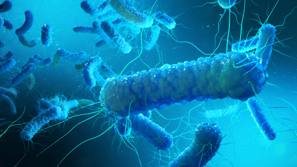 Beware Sepsis – Think Sepsis – PMP App